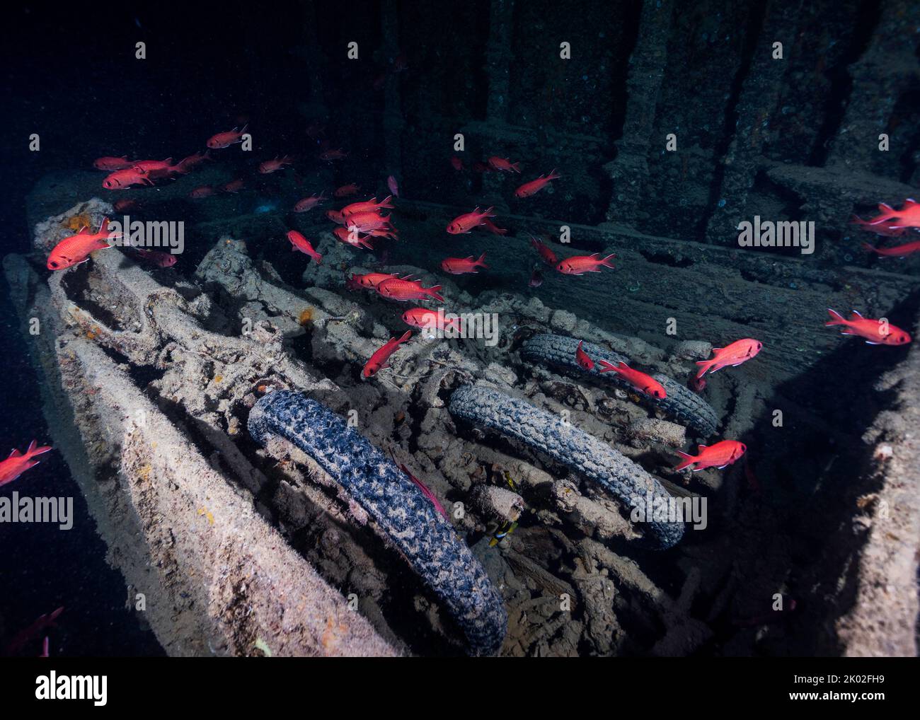 Motorbikes on the Thistlegorm ship wreck underwater with bright fish ...