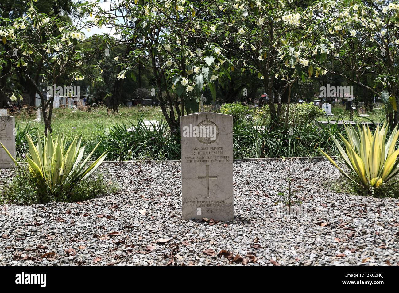 A view of a gravestone at The Commonwealth War Graves for World War I ...