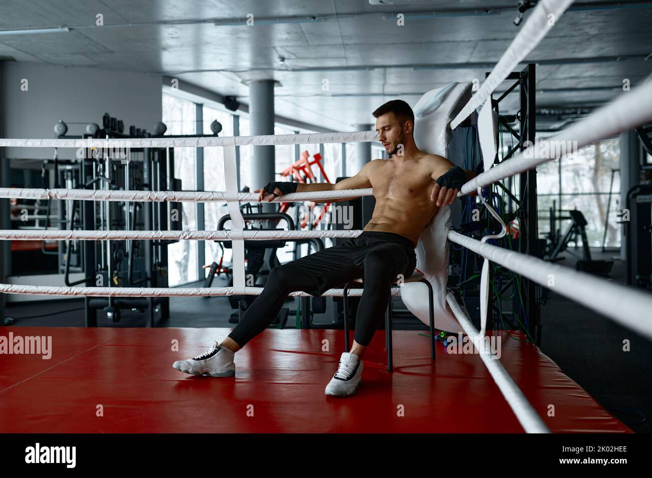 Boxer resting sit in boxer ring Stock Photo - Alamy