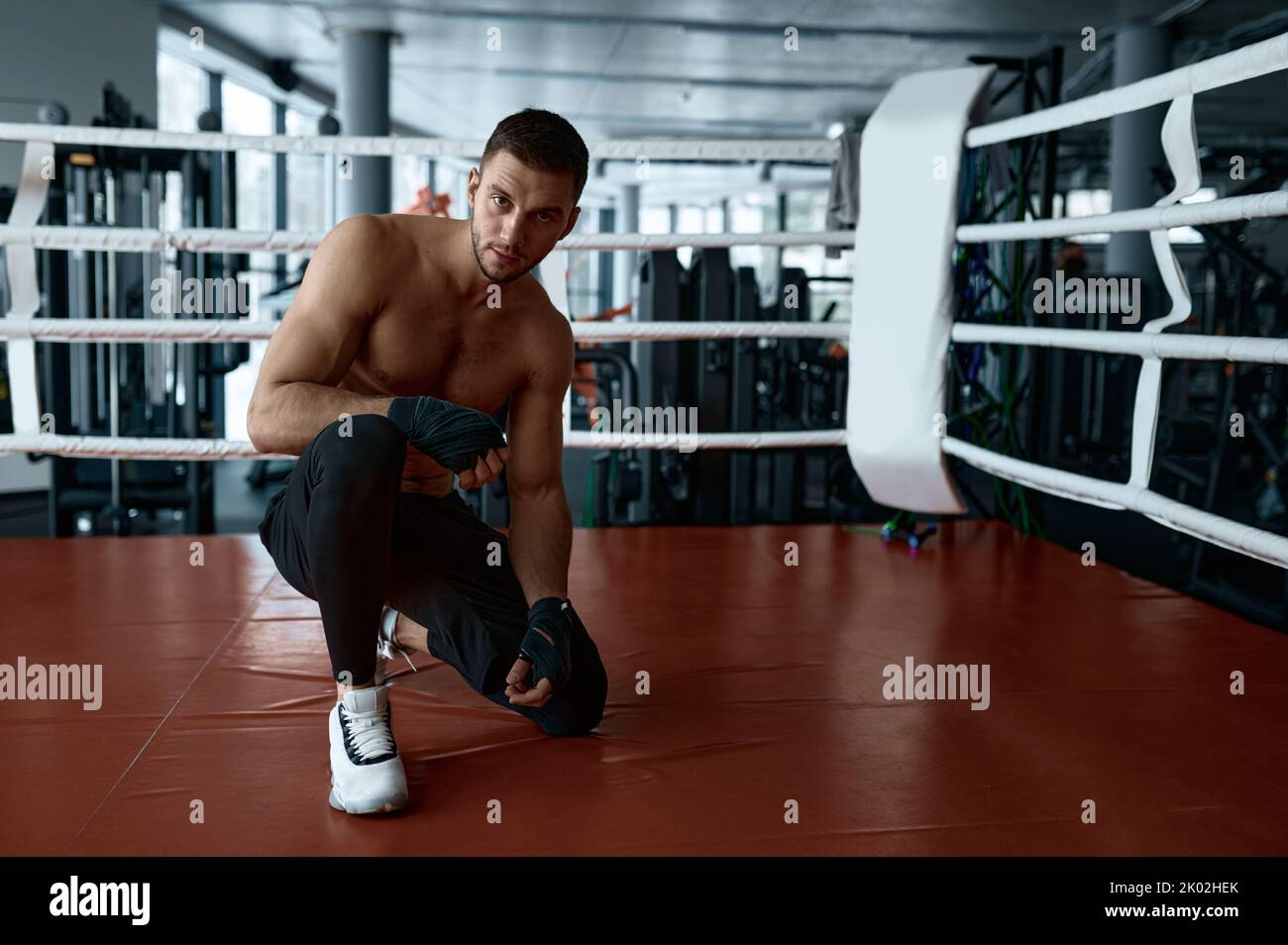 Portrait of boxer standing on one knee in ring Stock Photo - Alamy