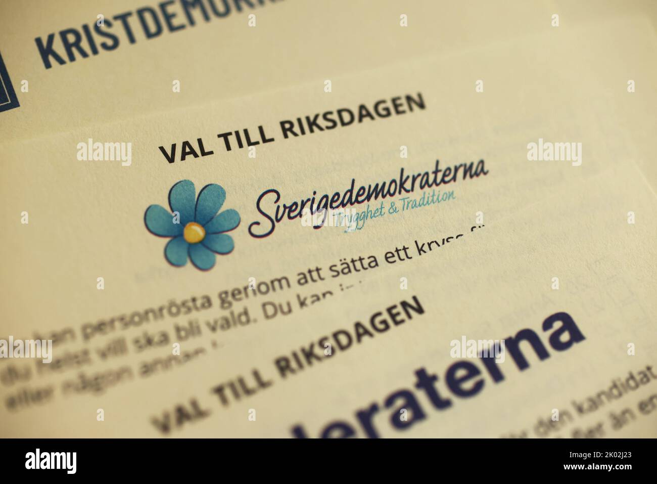 The Swedish parliamentary election takes place on Sunday, September 11 ...