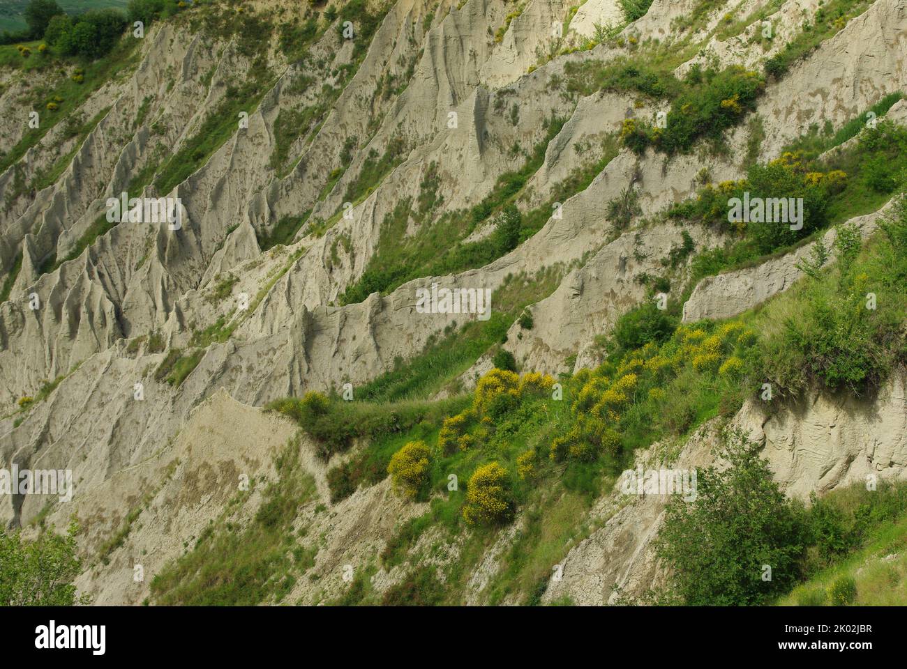 View of the gullies: They are a geomorphological phenomenon of soil ...