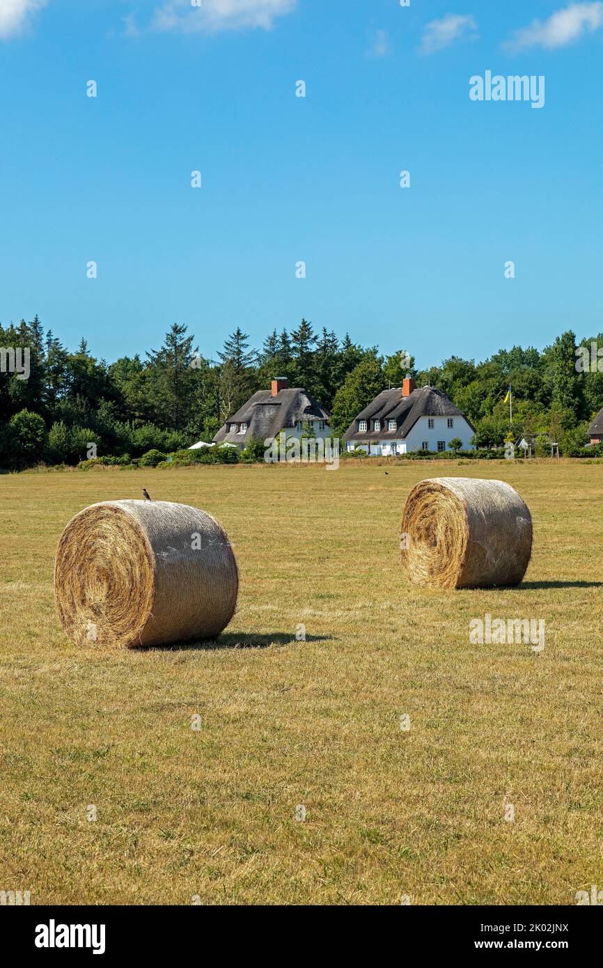 Straw island hi-res stock photography and images - Alamy