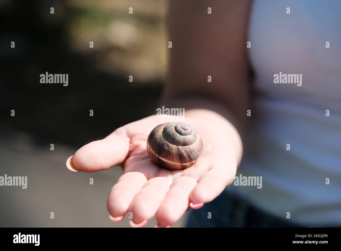 The snail crawls on the hand. Cosmetic product made from snail mucin ...