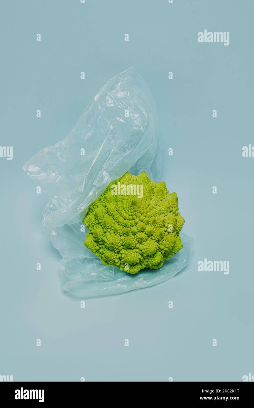 Fresh Romanesque cabbage on a blue pastel background. Minimal concept ...