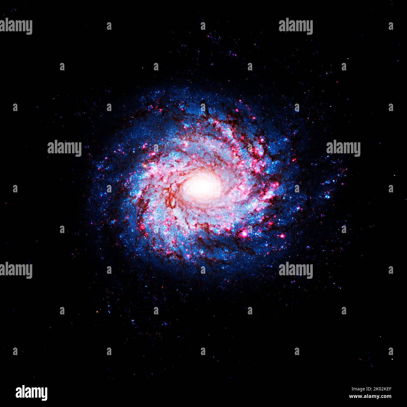 The Birth Of A Star Astronomy