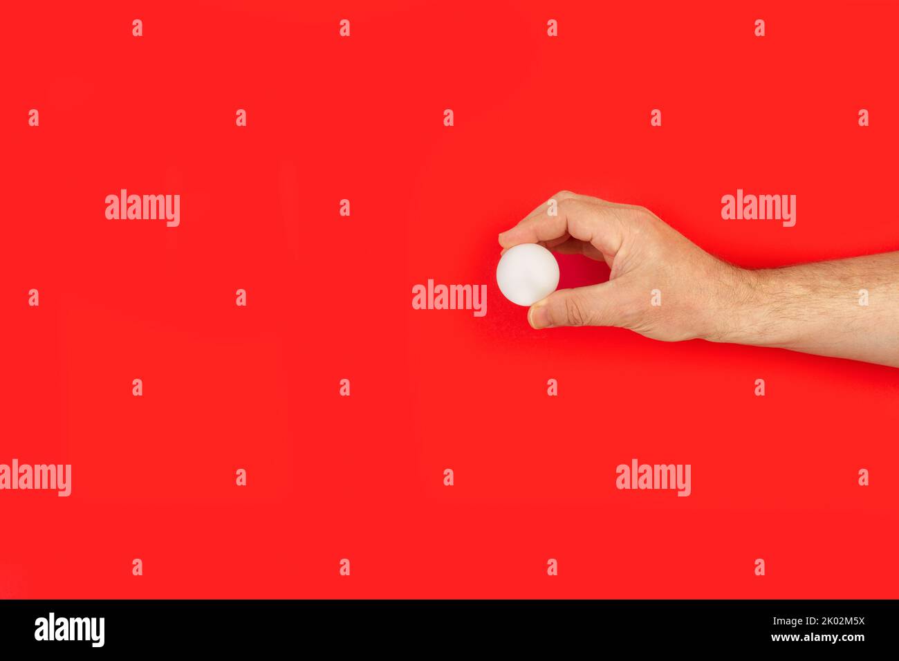 Man hand holding a ping pong ball on a red background with copy space ...