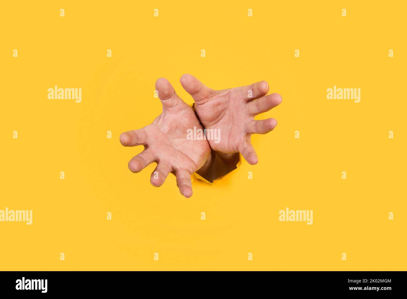 Man both hands with claw gesture through a hole in a yellow background ...