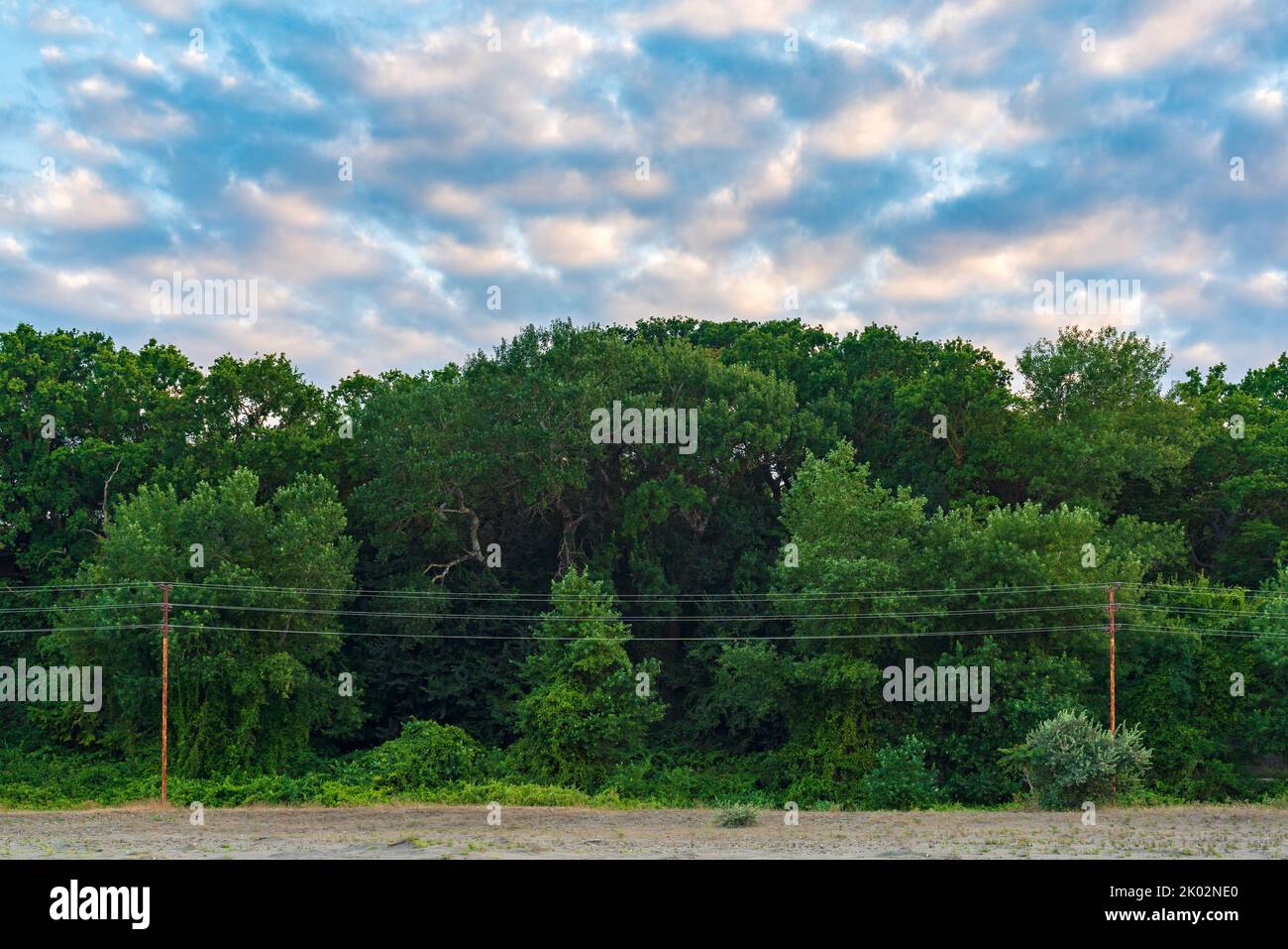 Power transmission lines along hi-res stock photography and images - Alamy