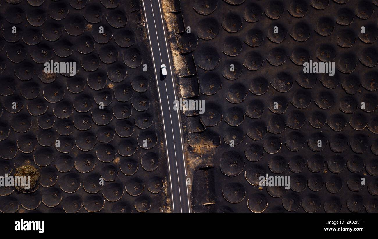 Above landscape view of black sand gound for volcanic vineyard and long ...