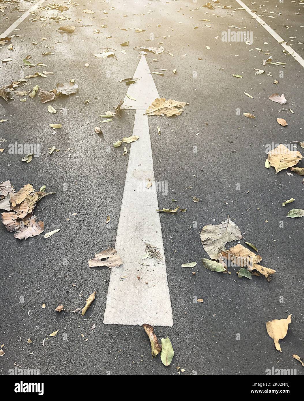 The straight arrow on the road, which represents the concept going ...