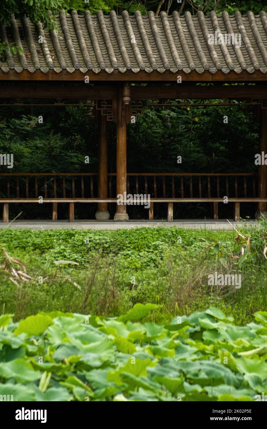 Qinglonghu hi-res stock photography and images - Alamy
