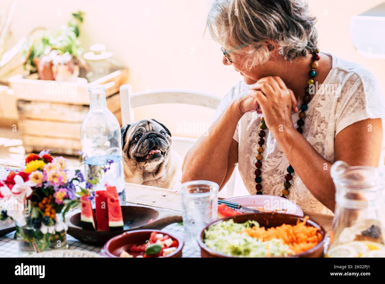Concept of people and animals lifestyle, Senior old woman look with ...