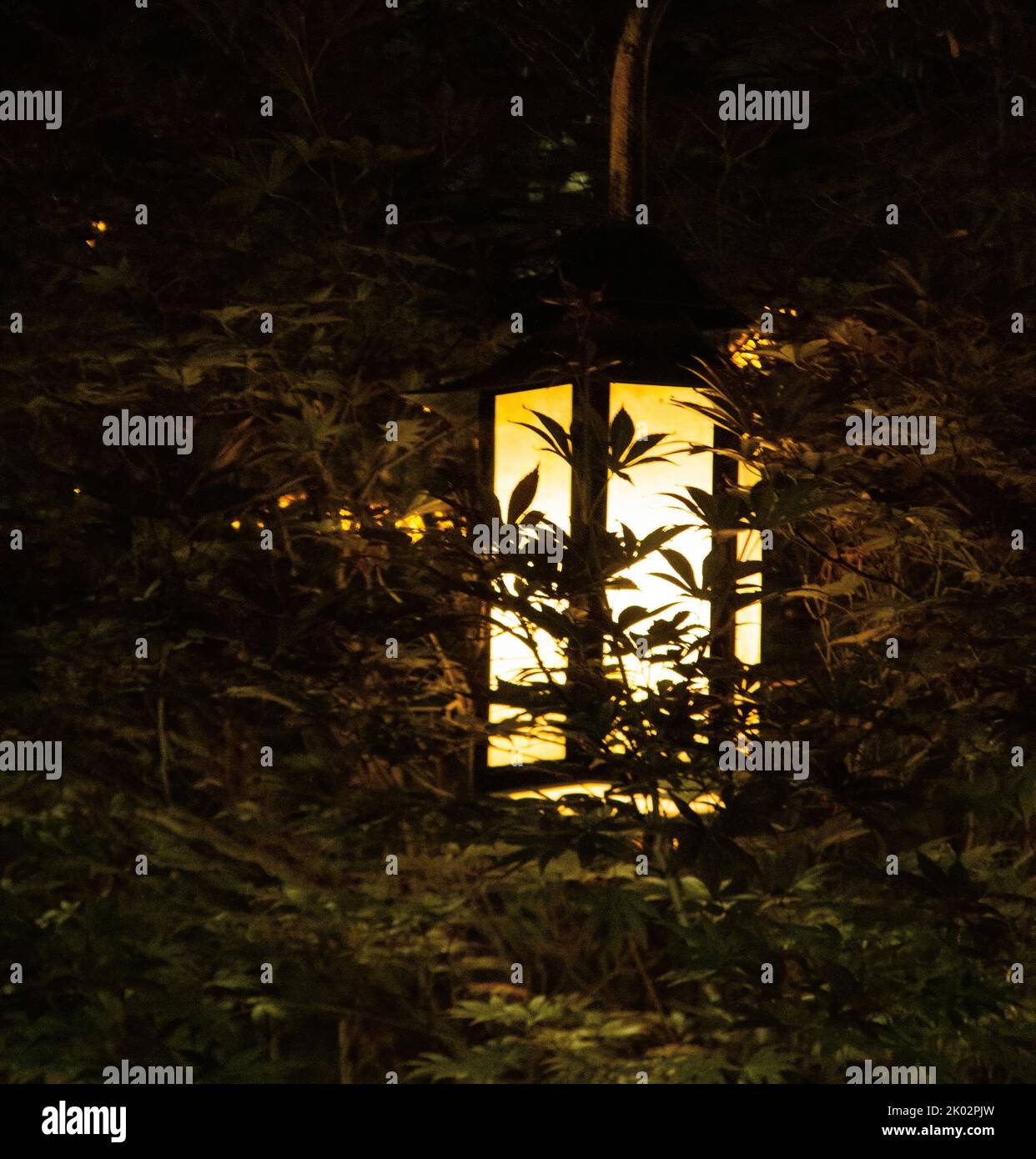 An illuminated lamp of the Impression Water street in Meishan city ...