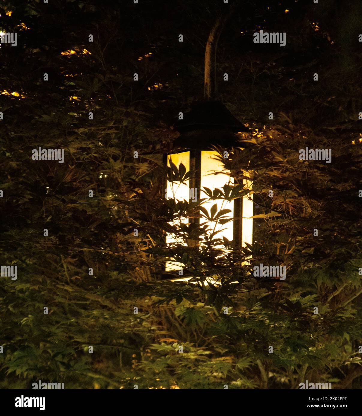 The illuminated details of the Impression Water street in Meishan city ...