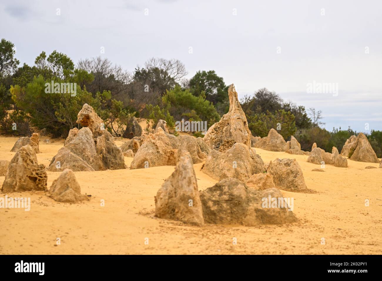 The Pinnacles on a sandy beach in Western Australia Stock Photo - Alamy