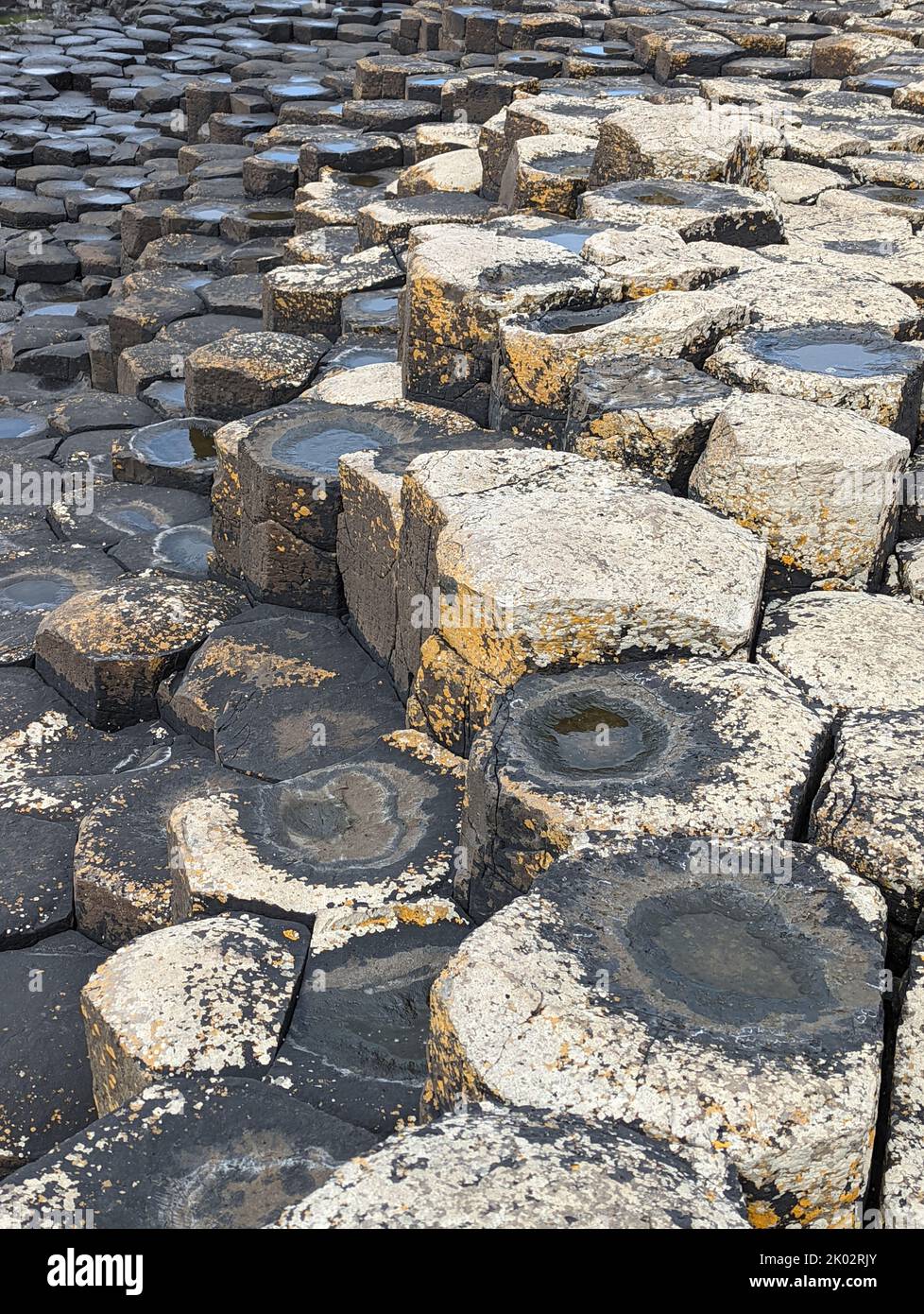 A surface of the top of basalt columns Stock Photo - Alamy