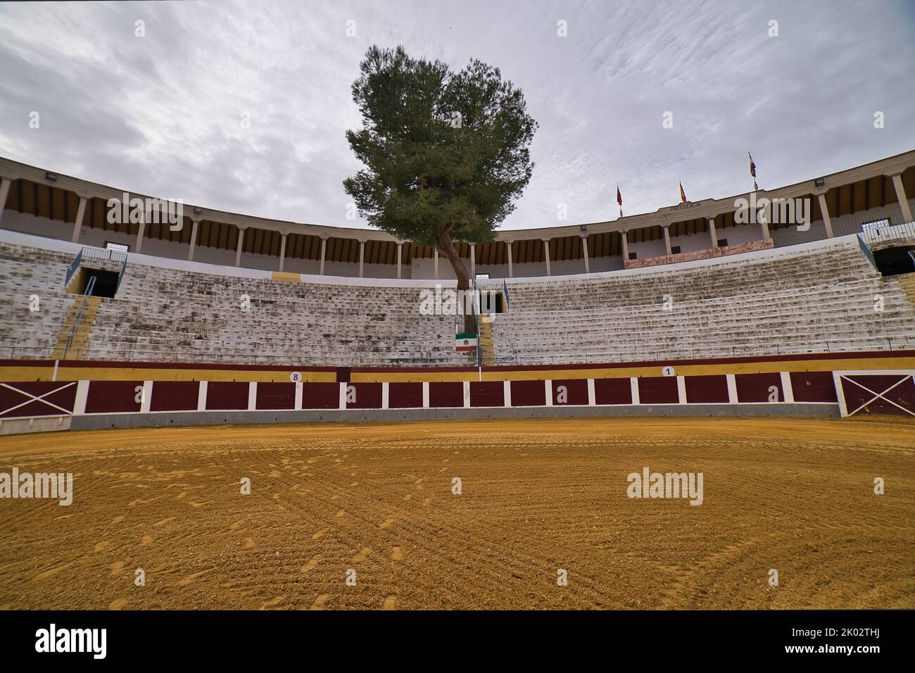 Toros murcia hi-res stock photography and images - Alamy