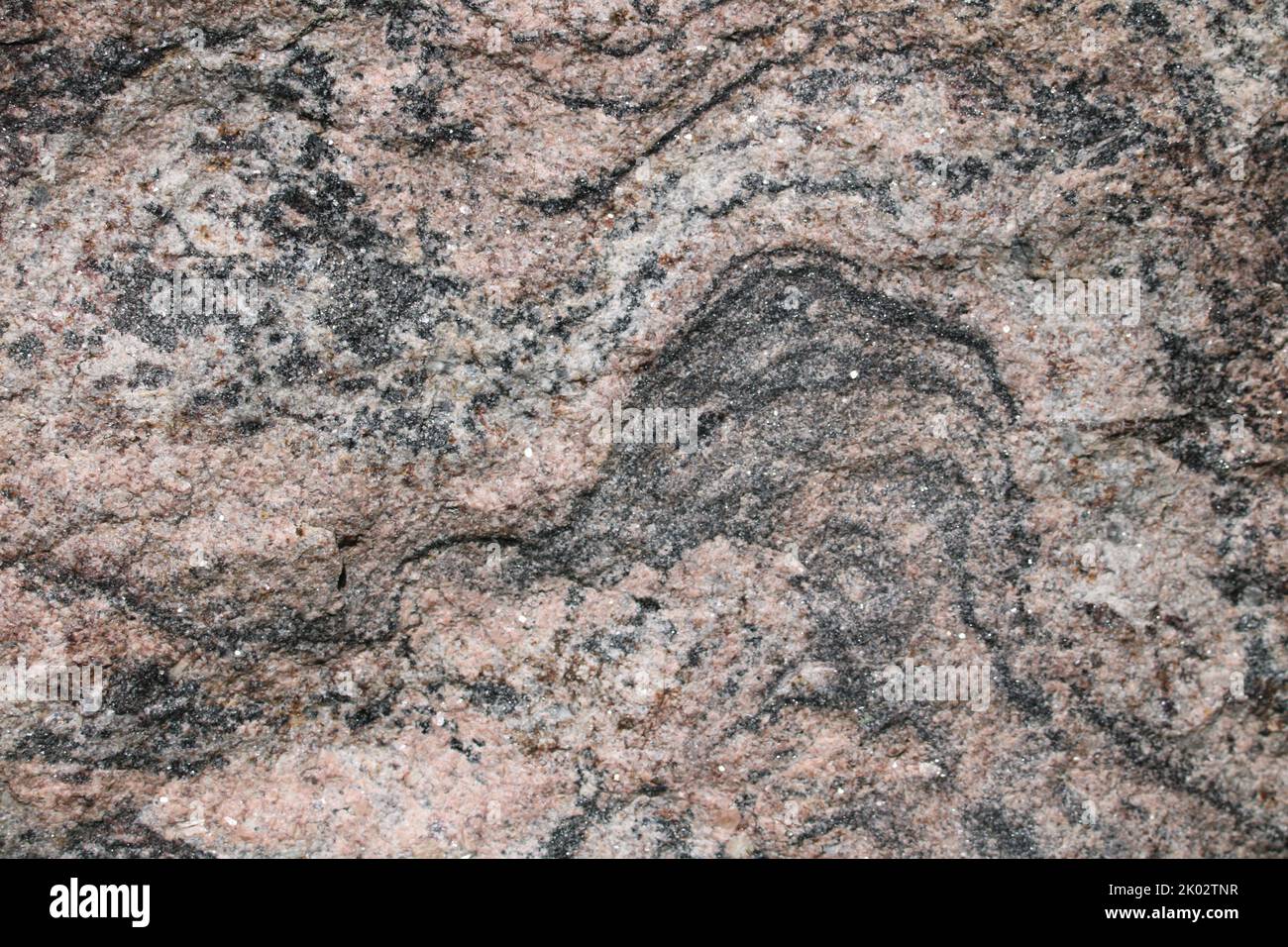 The close-up view of Morton Gneiss stone pattern - beautiful rough ...