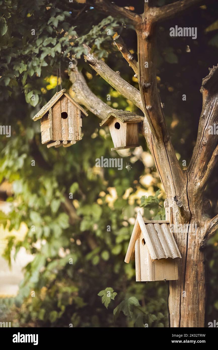 Three birdhouses hi-res stock photography and images - Alamy