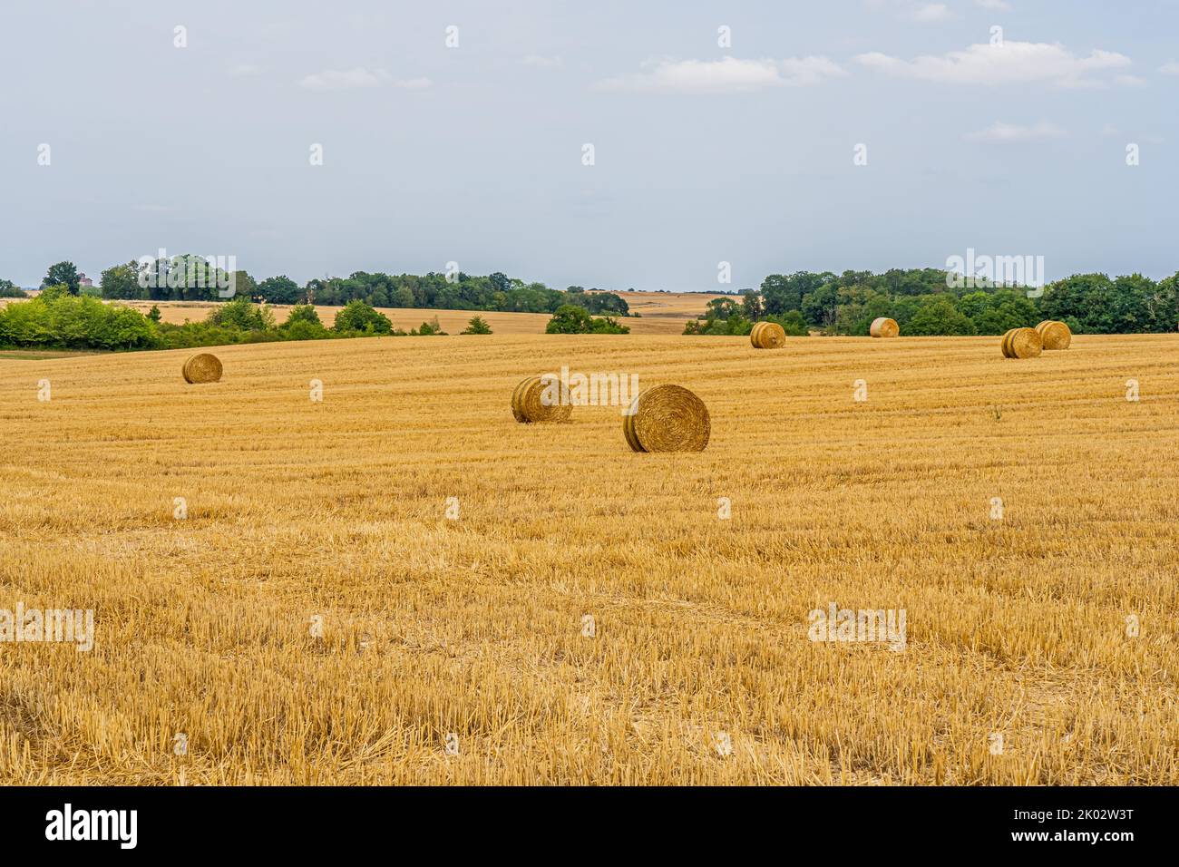 A field with golden hay bales in French countryside on the sky ...