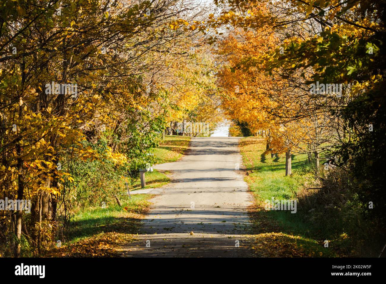 An empty pathway in a park passing through colorful trees on a sunny ...