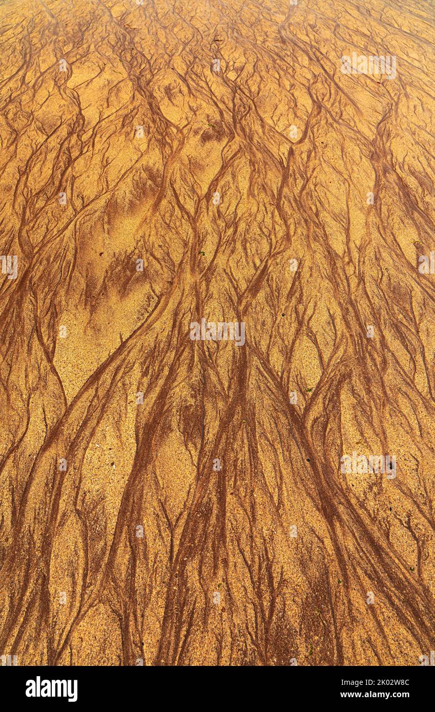 Trickle marks at low tide at eyemouth beach hi-res stock photography ...