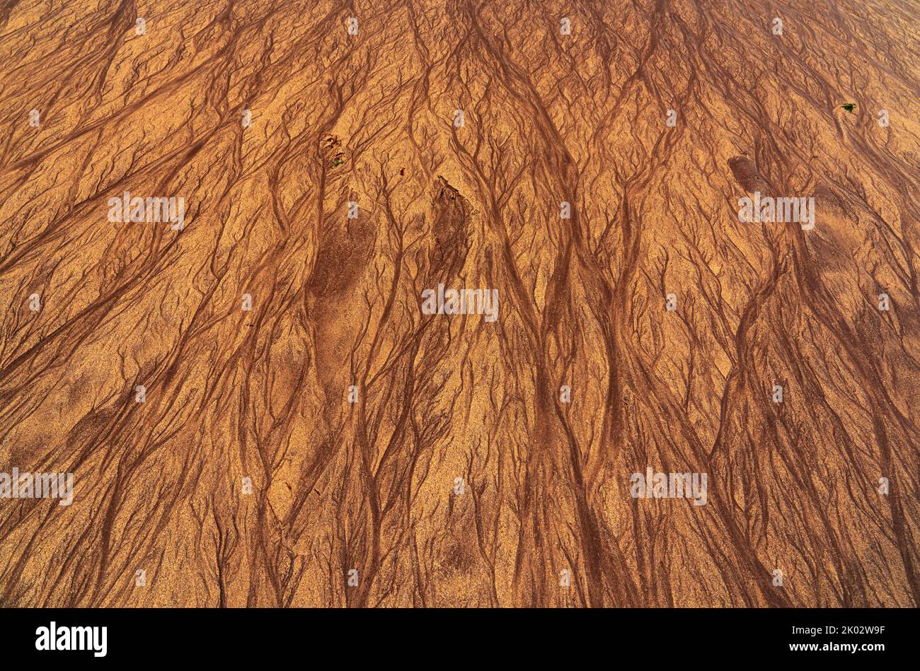 Trickle marks at low tide at eyemouth beach hi-res stock photography ...