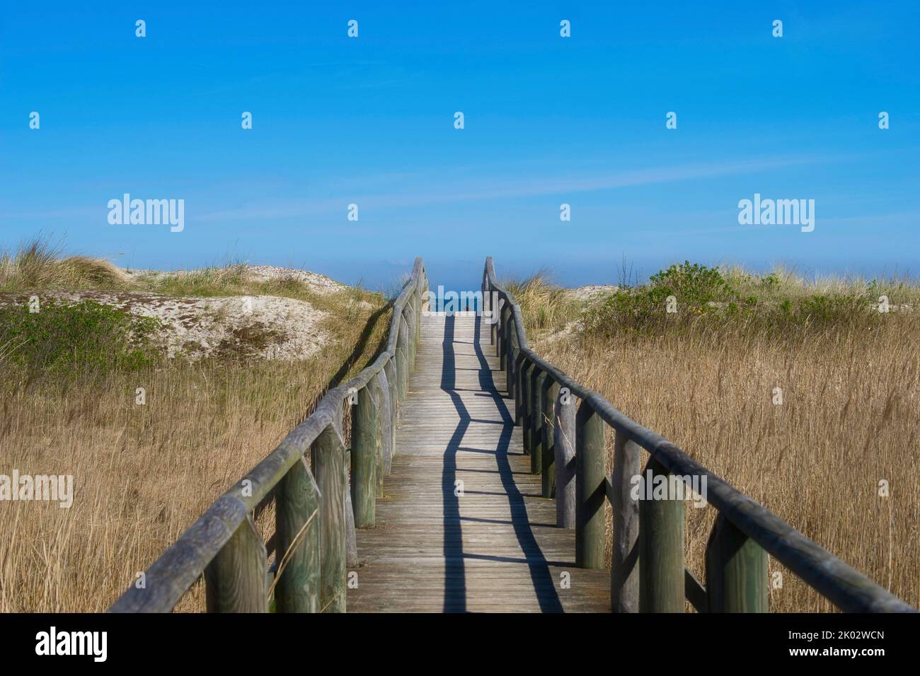 Baltic Sea, beach, sea, way, sea view, vacation, recreation, view in ...