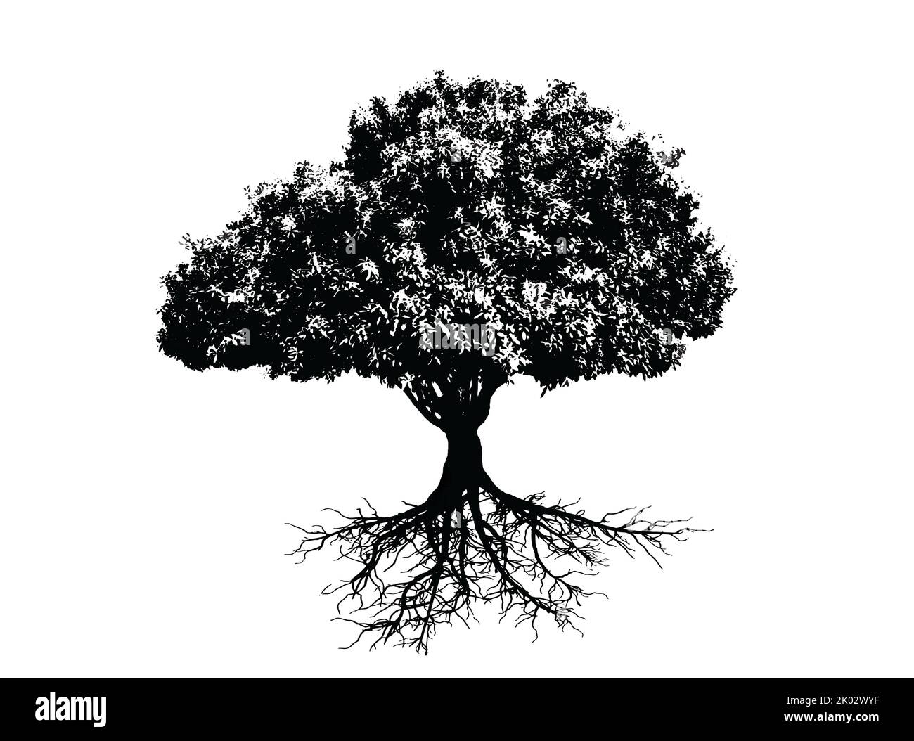 A balck tree with roots isolated on white background. Tree sample for ...