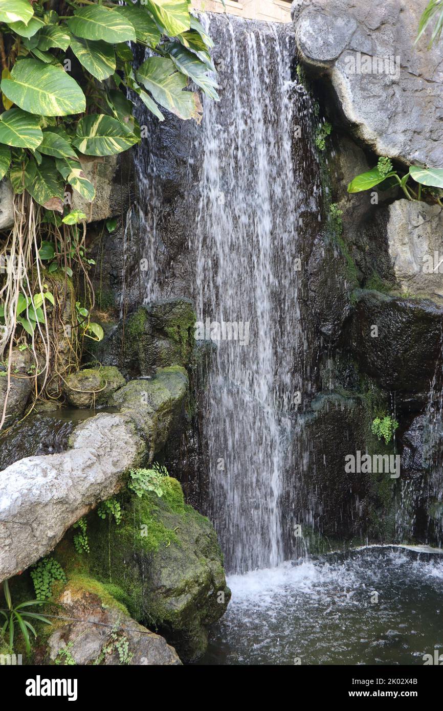 A waterfall on the Hawaiian island of Oahu Stock Photo - Alamy