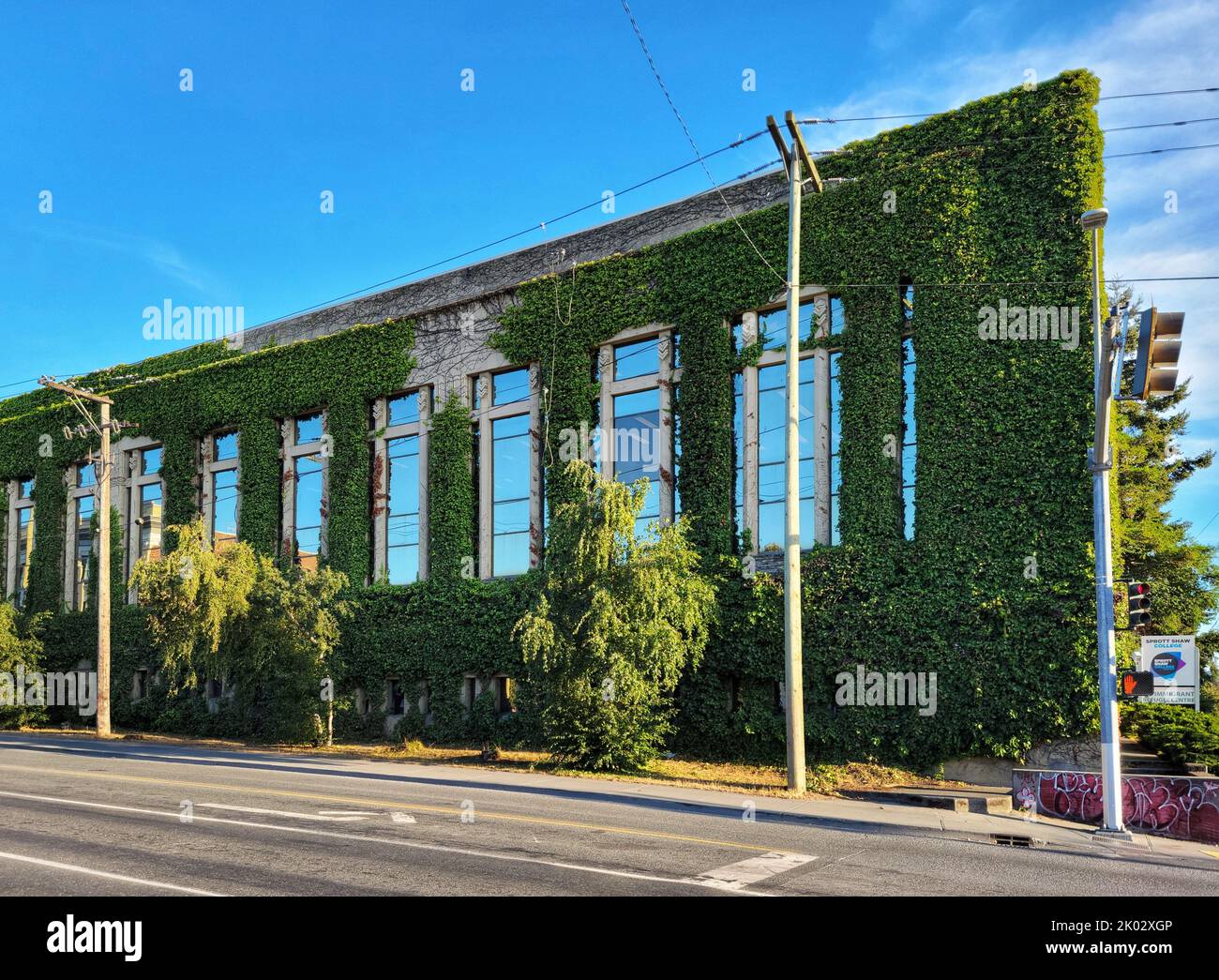 A building covered with grass plants Stock Photo - Alamy