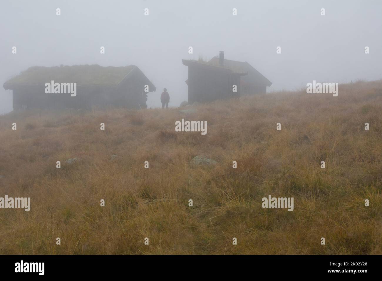 A foggy shot of houses on top of a hill with a silhouette of a person ...