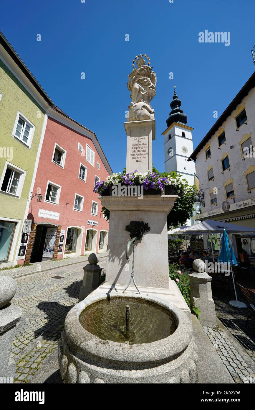 Germany, Bavaria, Upper Bavaria, Traunstein County, Waging am See ...
