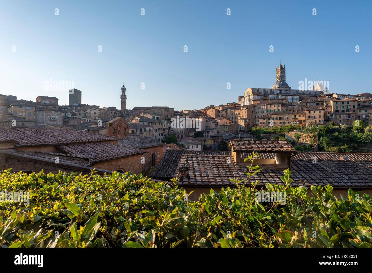 Bell tower Torre del Mangia (left), Siena Cathedral (right), old town ...