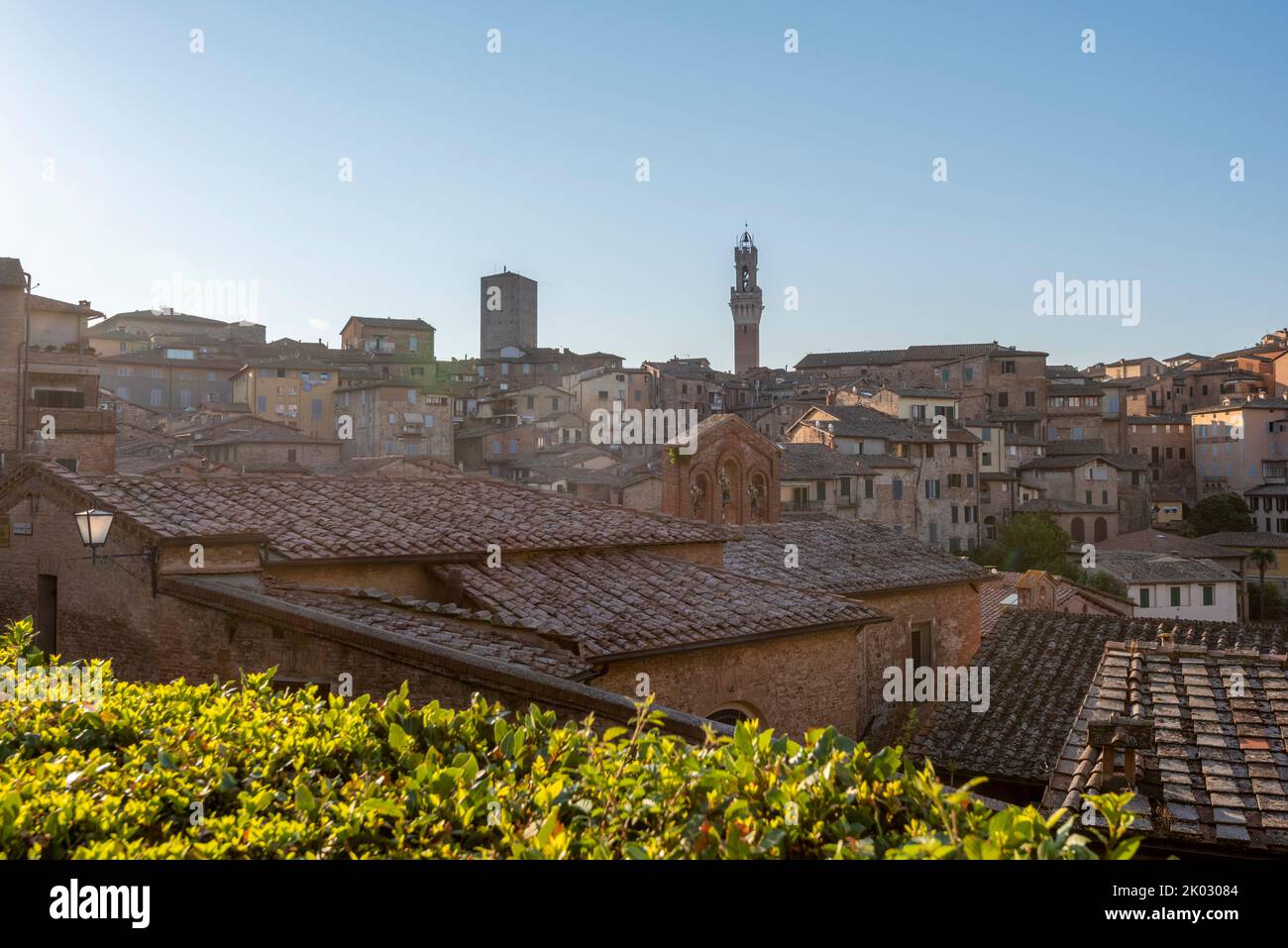 Bell tower Torre del Mangia, old town in the morning, Siena, Tuscany ...