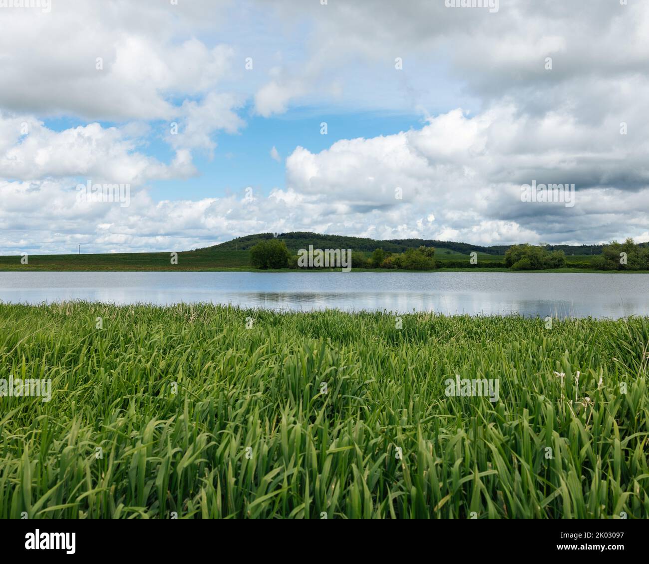 A beautiful view of a calm lake surrounded by greenery Stock Photo - Alamy