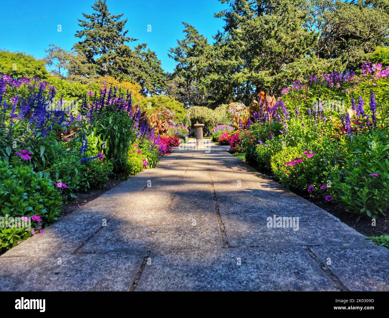 A beautiful green magical garden with colorful flowers on a bright ...