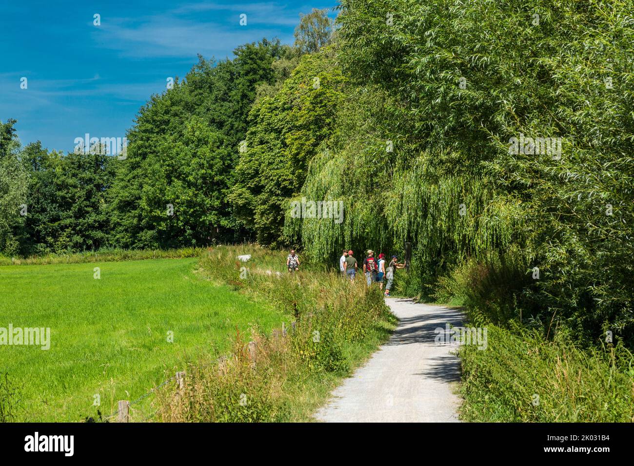 germany-billerbeck-berkel-baumberge-muensterland-westphalia-north