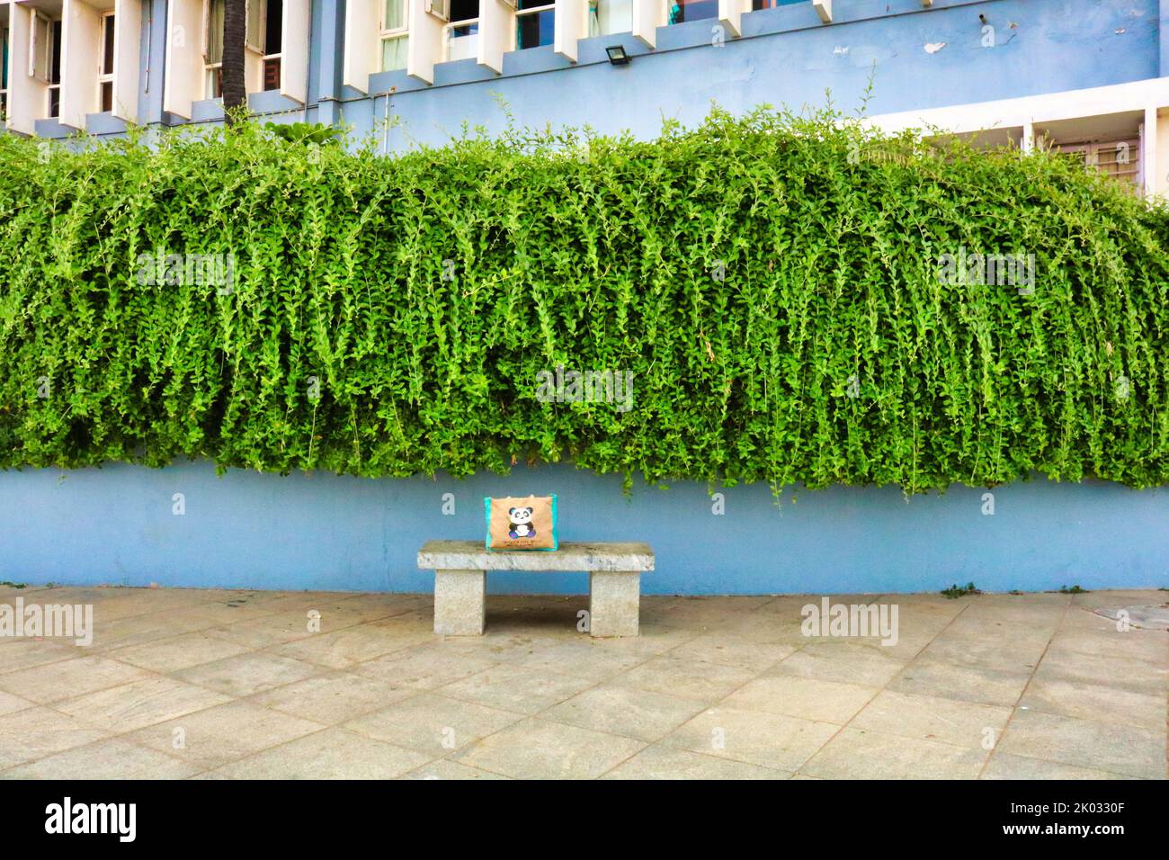 Decorative vines hi-res stock photography and images - Alamy