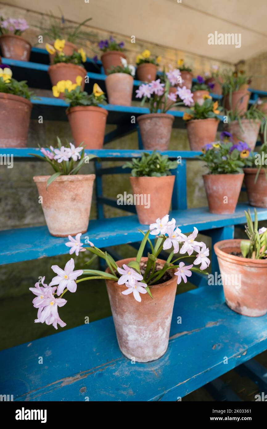 Staging design hi-res stock photography and images - Alamy