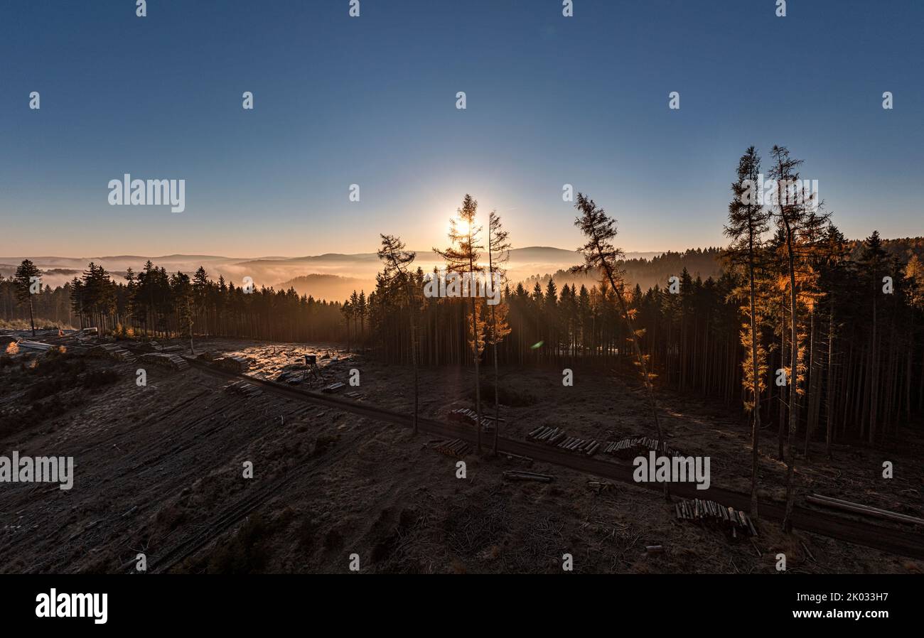 Germany, Thuringia, Großbreitenbach, Wildenspring, landscape, trees ...