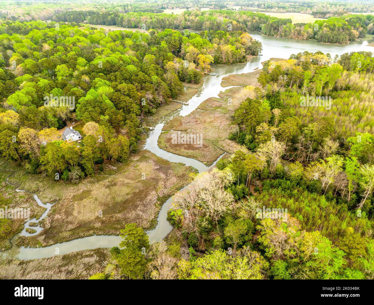 An aerial shot of a water stream flowing into a river in a forest Stock ...
