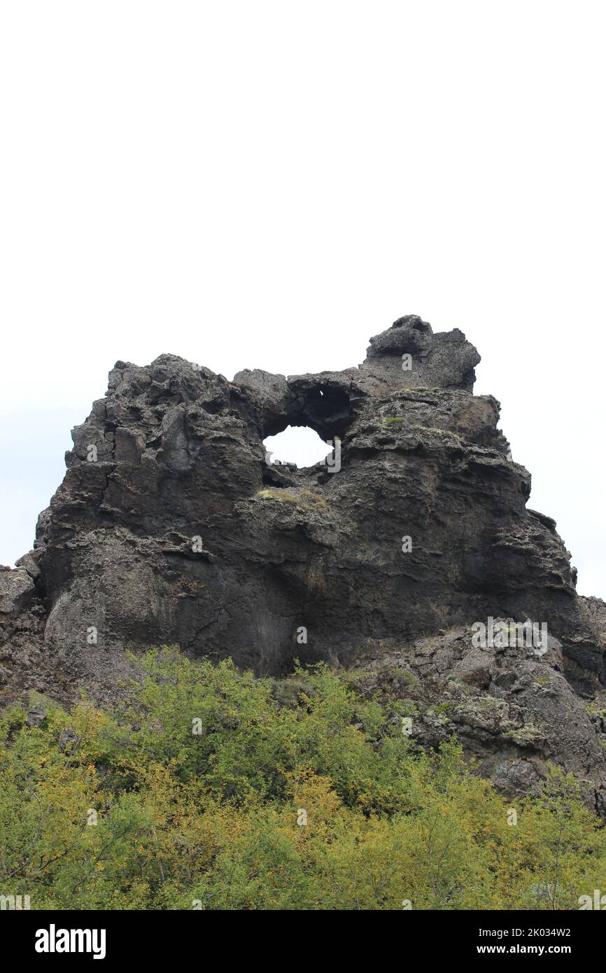 Lava rock with plant hi-res stock photography and images - Alamy