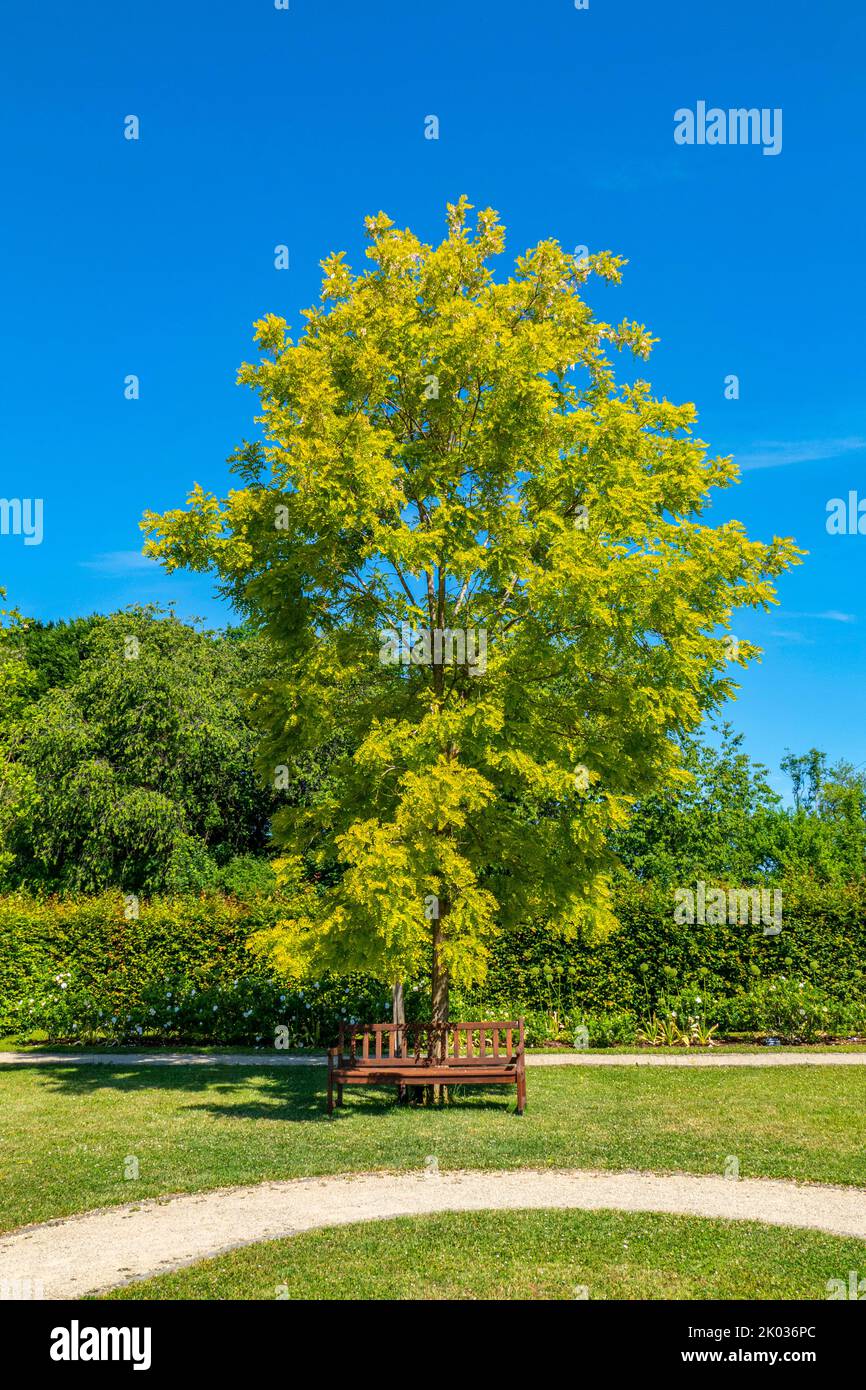 Garden of the Senses, Merzig, Saar, Saarland, Germany Stock Photo - Alamy