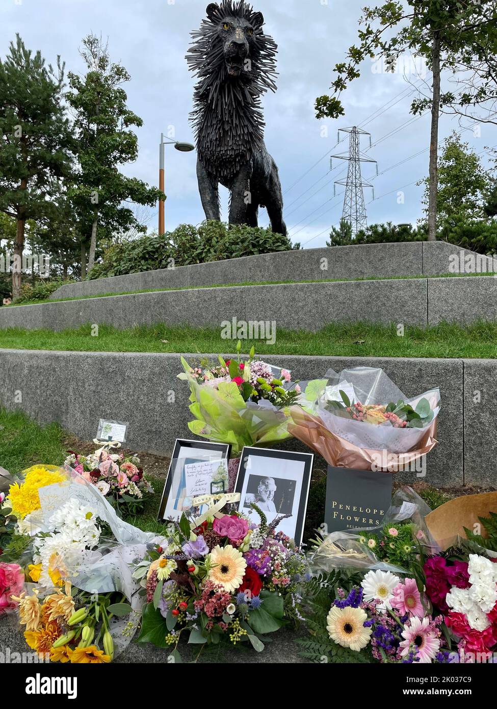 Flowers at the statue of Aslan the lion at CS Lewis square in east ...