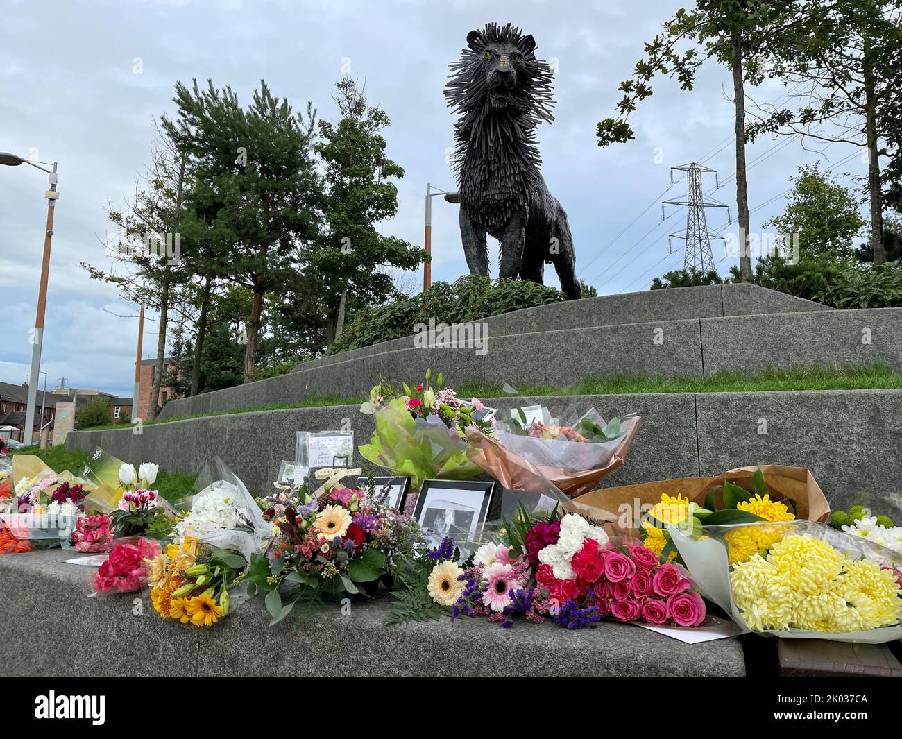 Flowers at the statue of Aslan the lion at CS Lewis square in east ...