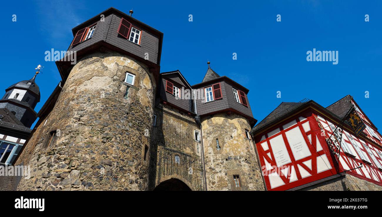 Europe, Germany, Hesse, Hessen-Nassau, Taunus, Taunus Nature Park ...