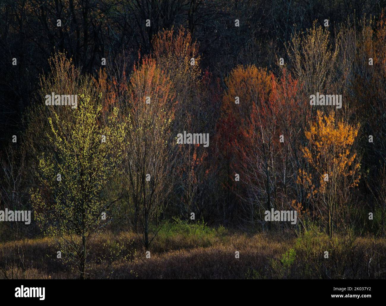 Steinke basin hi-res stock photography and images - Alamy