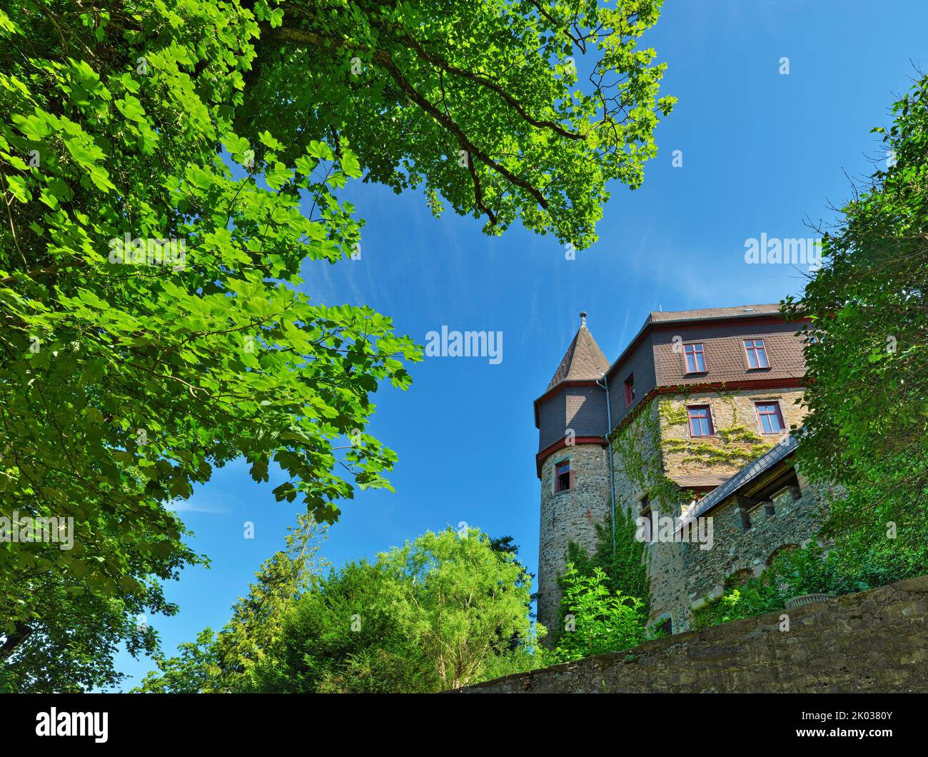 Europe, Germany, Hesse, Hessen-Nassau, Taunus, Taunus Nature Park ...